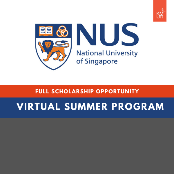 NUS Enterprise Summer Programme in Entrepreneurship 2021 ...